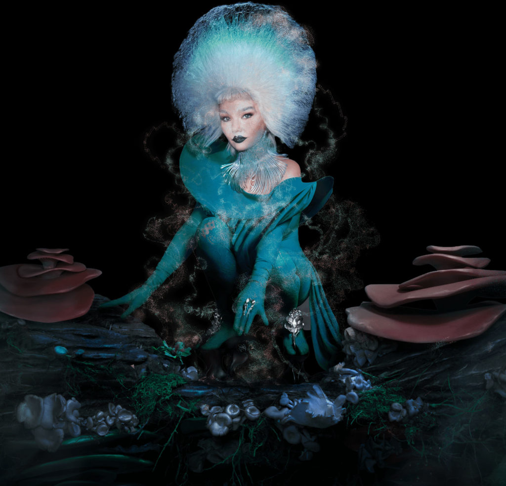 BJÖRK - "fossora" il nuovo viaggio tra funghi e spore [Guarda il video ...