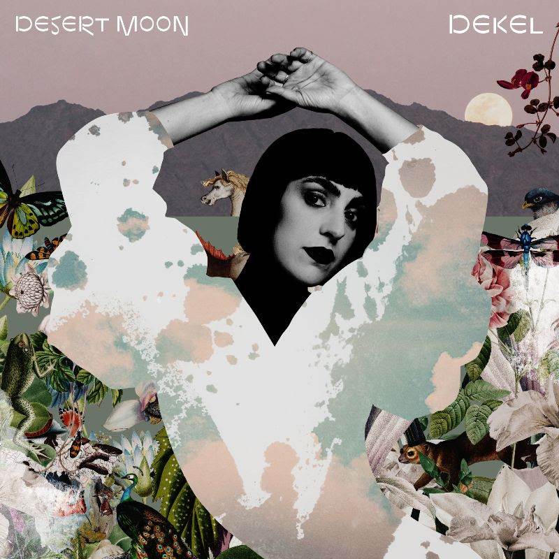DEKEL "Desert Moon" è il nuovo album [Guarda il video] - Newsic.it